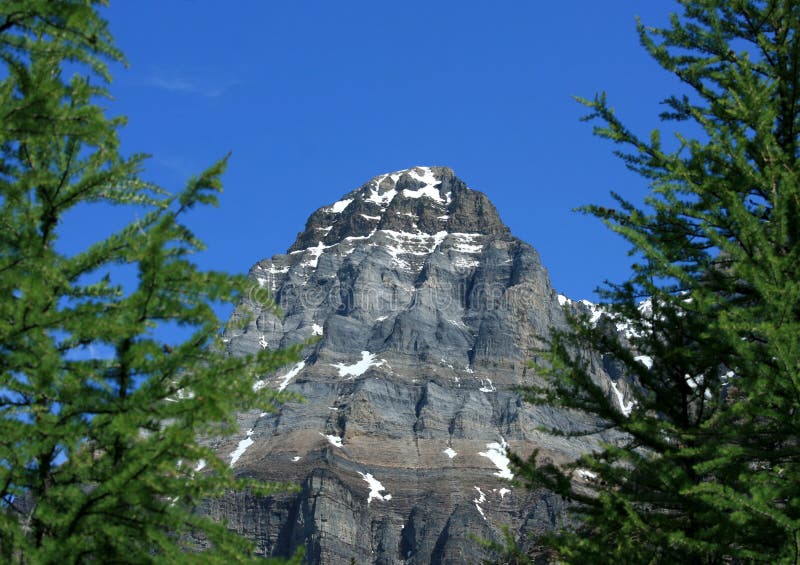 Mount Huber between Trees stock image. Image of outdoors - 12163443