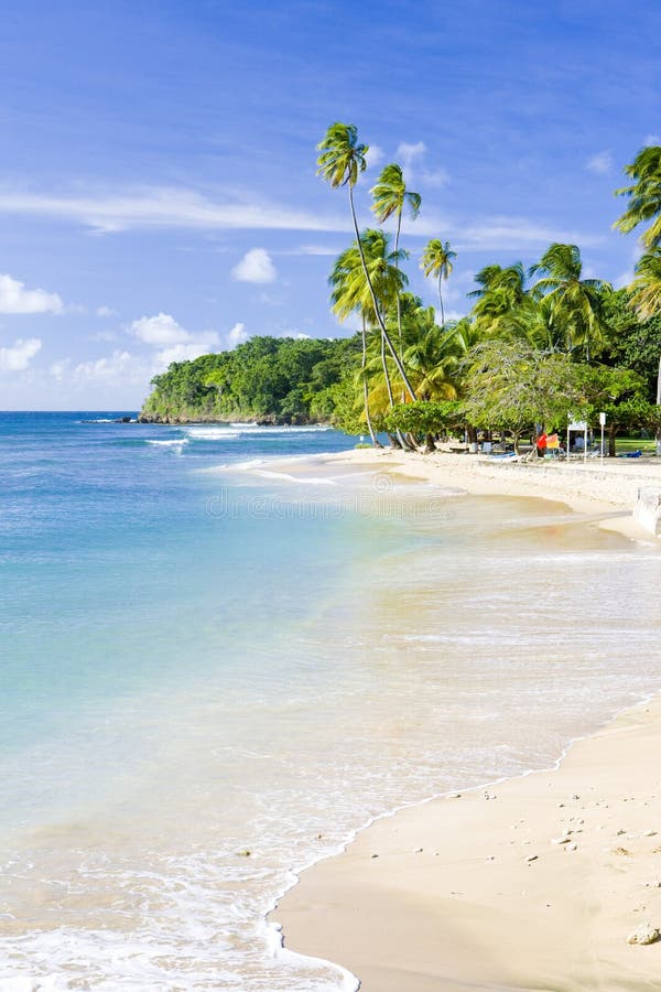 Mount Irvine Bay, Tobago stock photo. Image of shore - 174146546