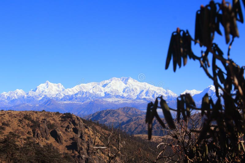 Mount Kanchanjunga-3. stock photo. Image of sandakphu - 48978940
