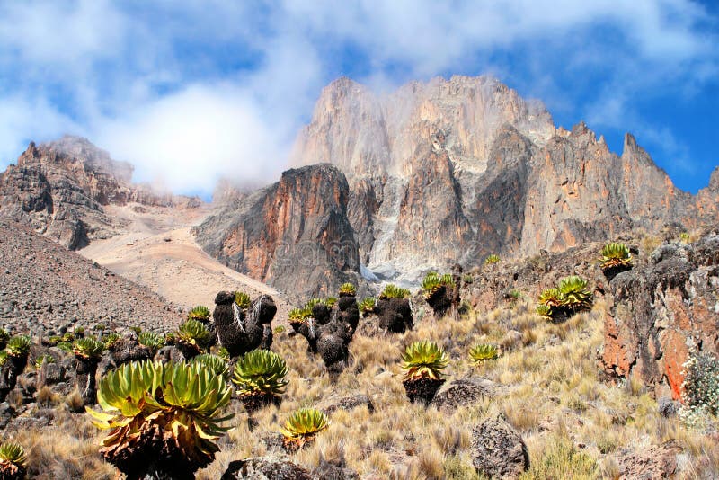 Mount Kenya, Africa stock photo. Image of ridge, vegetation - 4230628