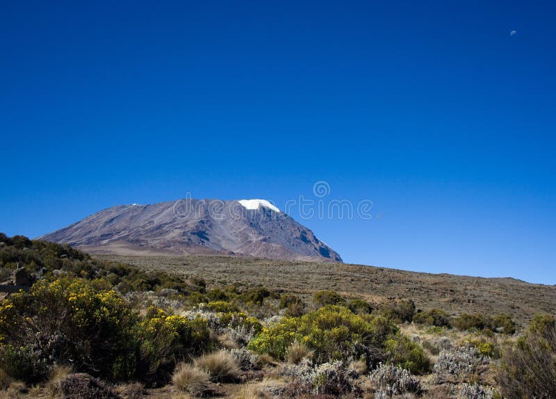 Mount Kilimanjaro, Moshi stock image. Image of trekking - 255540561