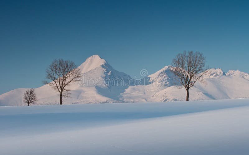 Mount Krivan . . stock photo. Image of winter, trees - 37899500