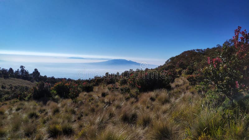 Mount lawu na ilha de java foto de stock. Imagem de editor - 210772934