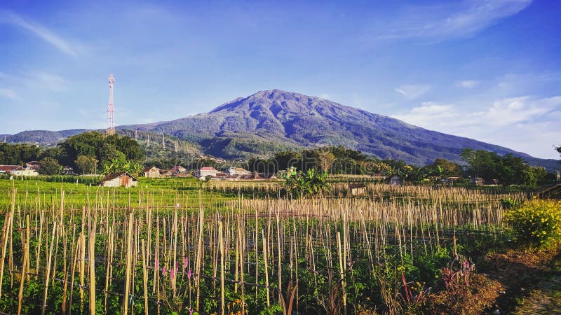 Mount lawu rising stock image. Image of nature, mount - 225761999