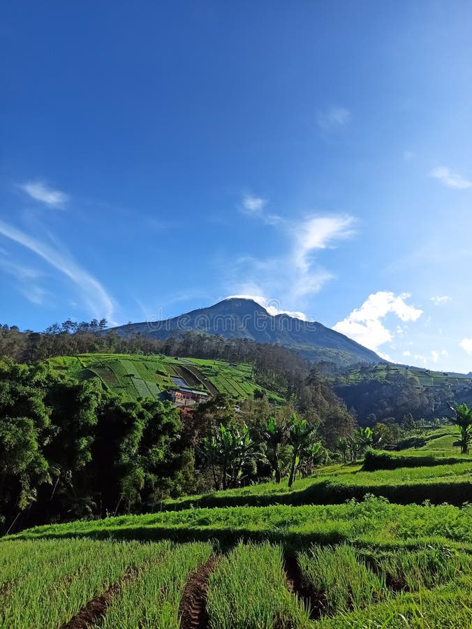 Mount Lawu stock image. Image of ocean, lawu, terrain - 222004771