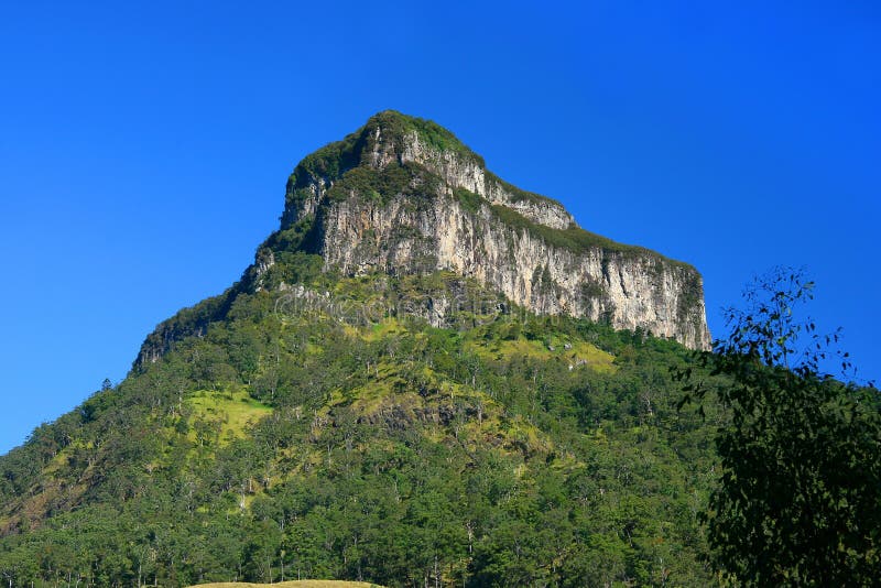 Mount Lindsay stock photo. Image of nature, trees, lindsay - 12773502