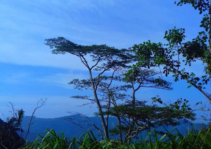 Mount line in sri lanka stock photo. Image of famous - 131507944