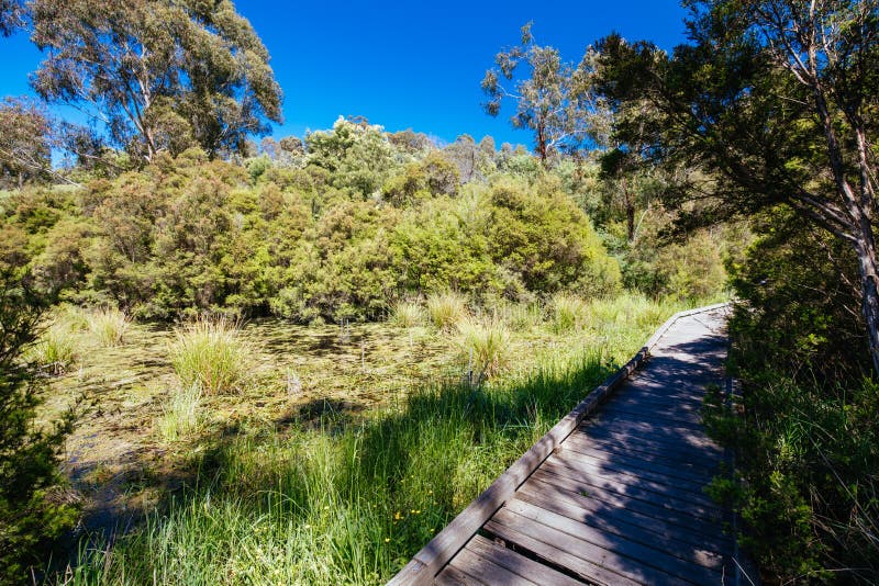 Mount Lofty Circuit Walk in Melbourne Australia Stock Photo - Image of ...