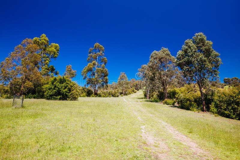 Mount Lofty Circuit Walk in Melbourne Australia Stock Image - Image of ...