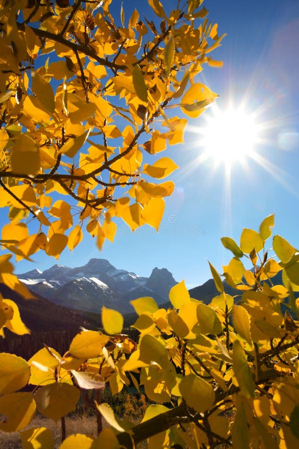 Mount Lougheed stock image. Image of rockies, mount, mountain - 19157927