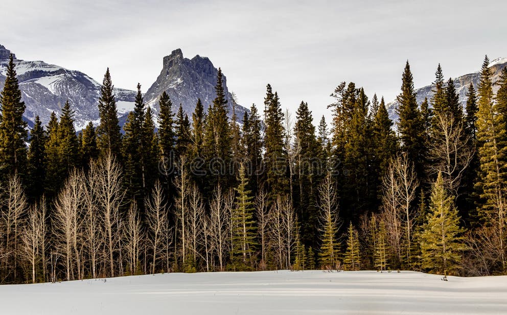 Mount Lougheed, Mount Lougheed Provincial Recreation Area, Alberta ...