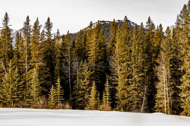 Mount Lougheed Provincial Recreation Area, Alberta, Canada Stock Image ...