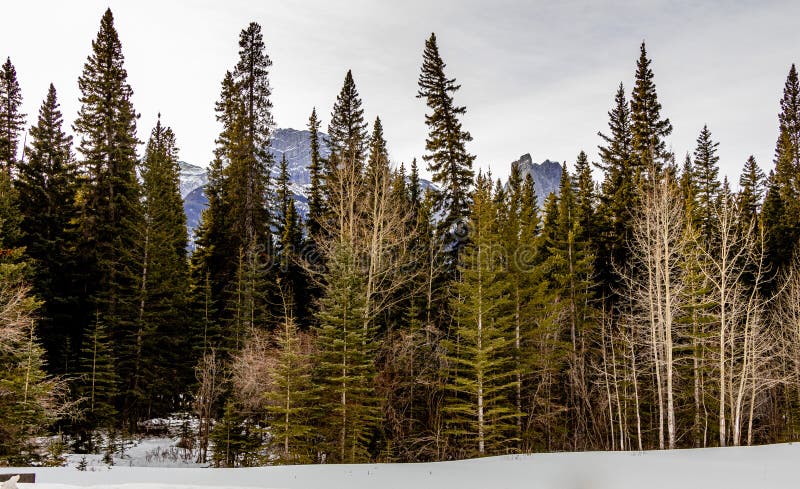 Mount Lougheed Provincial Recreation Area, Alberta, Canada Stock Image ...