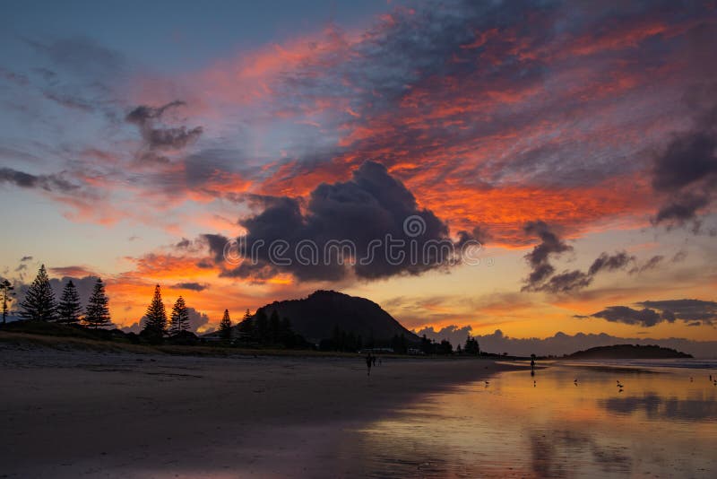 Mount Manganui Beach New Zealand Stock Image - Image of evening, ocean ...