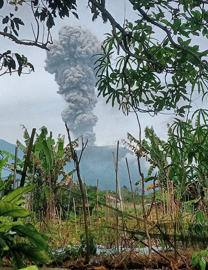 Mount Marapi stock photo. Image of sumatera, crop, volcano - 337109138