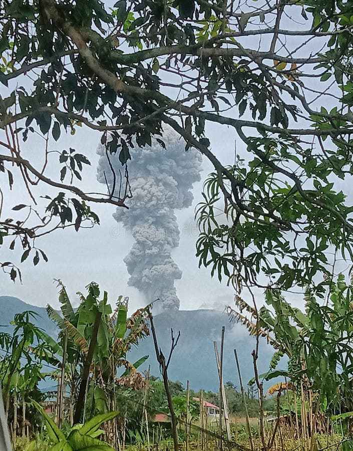 Mount Marapi stock photo. Image of sumatera, agriculture - 337109190