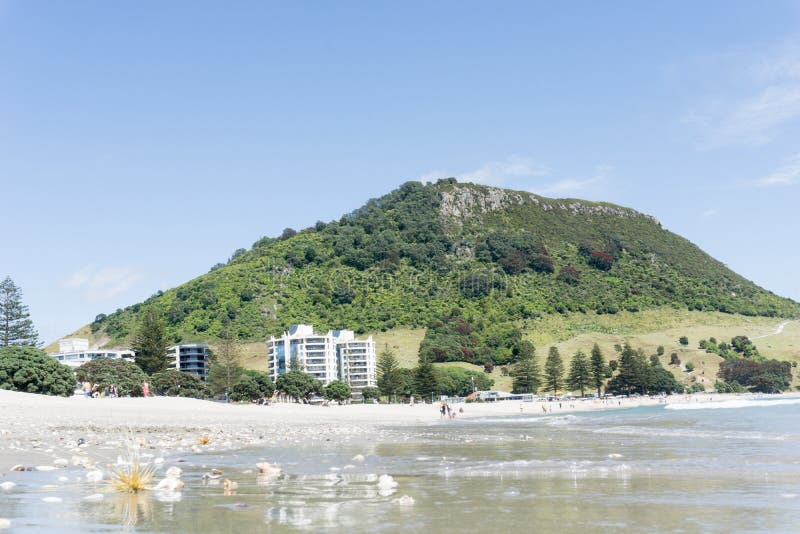 Mount Maunganui and Beach Foreground in Summer. Editorial Stock Photo ...
