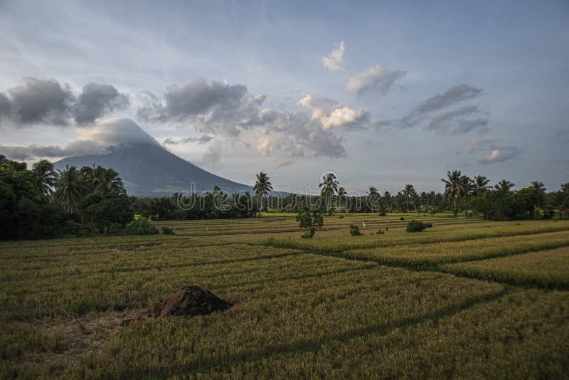 Mount Mayon Volcano in the Philippines Stock Photo - Image of landscape ...