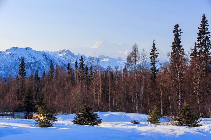 Mount McKinley, Denali National Park and Preserve Stock Photo - Image ...