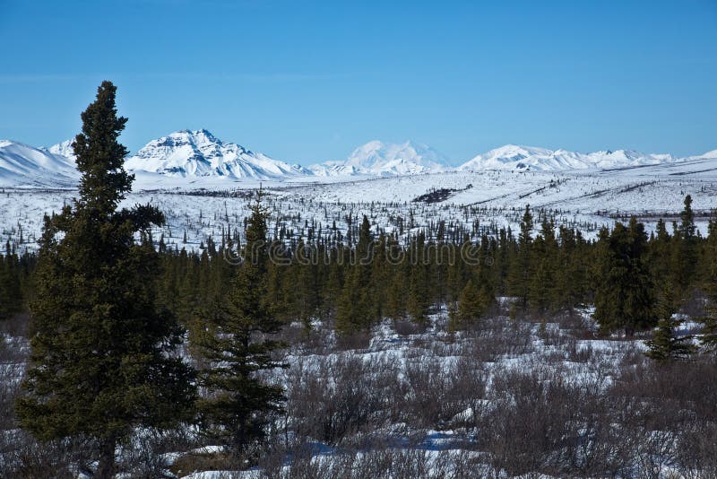 Mount McKinley in Spring stock image. Image of vacation - 31138901