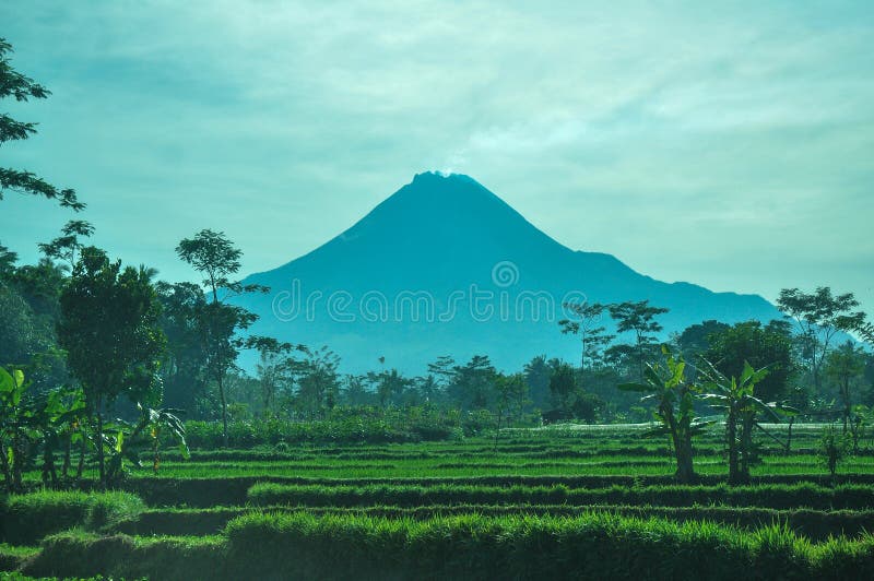 Mount of merapi stock image. Image of merapi, hill, landscape - 211834193