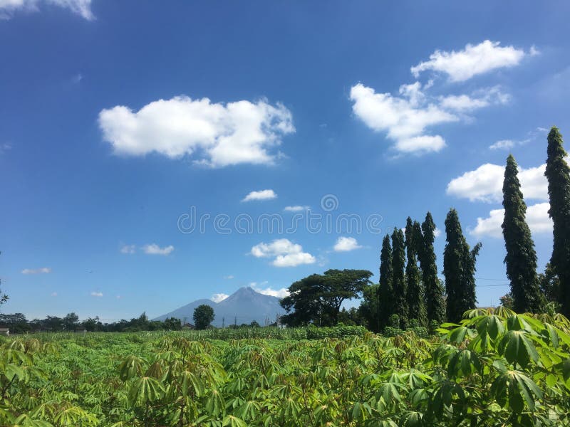 Mount Merapi stock image. Image of active, merapi, green - 265148747