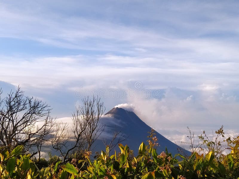 Mount Merapi Can Be Seen from the Merbabu Mountain Savanna Covered with ...