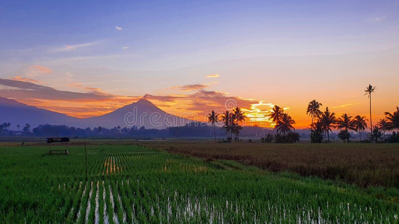 Mt merapi sunrise view stock photo. Image of landscape - 255464682