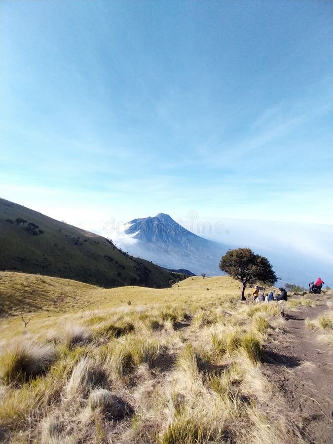 Mount Merbabu savanna stock image. Image of merbabu - 337960693