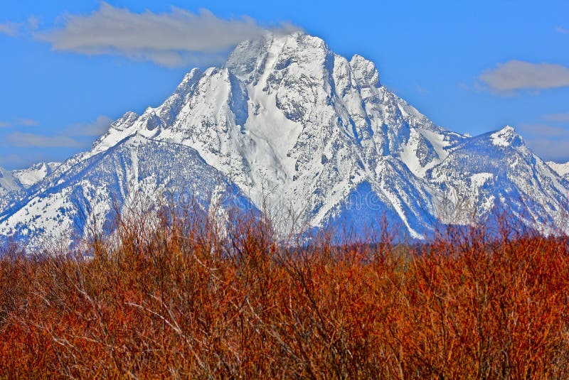 Mount Moran stock photo. Image of wild, landscapes, winter - 37655088