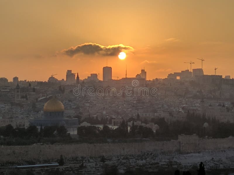 Olives in the sunset stock photo. Image of flora, beauty - 14790950