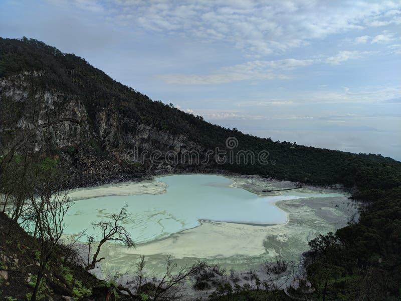 Mount Patuha is in Indonesia Stock Image - Image of branch, tree: 222092325