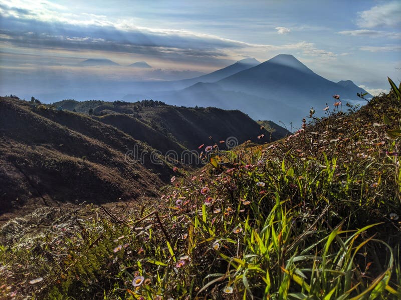 Mount Prau Indonesia stock photo. Image of plant, autumn - 206623574