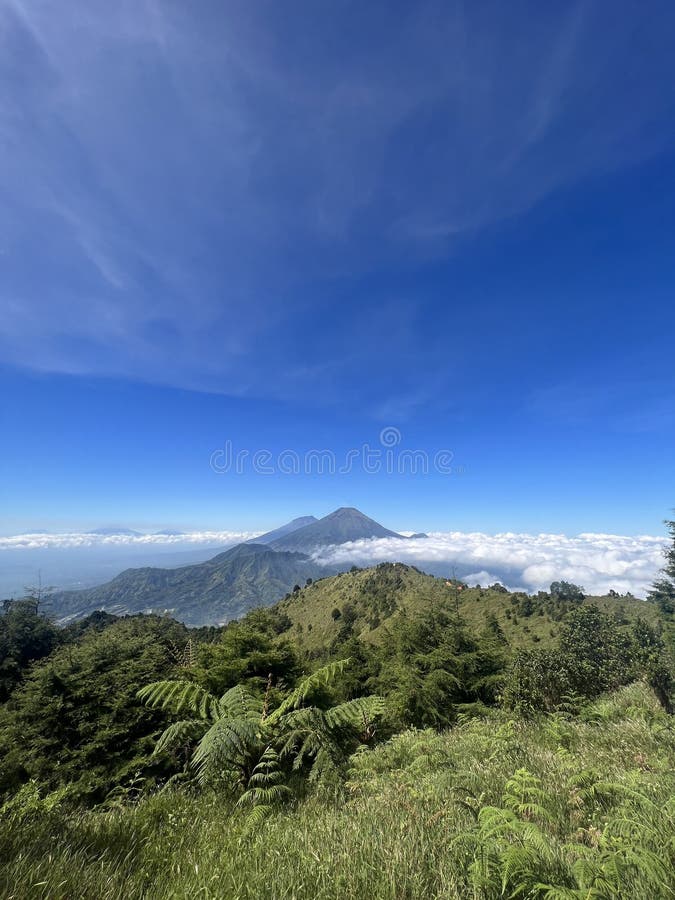 Mount Prau is One of the Mountains in Central Java Which Has a Height ...