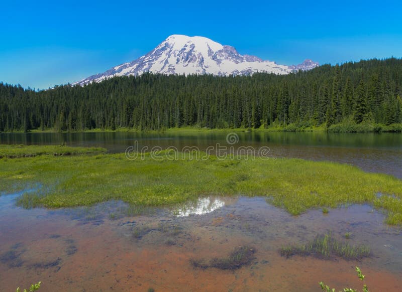 Mount Rainier, Also Known As Tahoma, is a Large Active Stratovolcano in ...