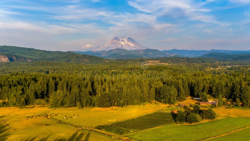 Mount Rainier on the Horizon in August Stock Photo - Image of rainier ...