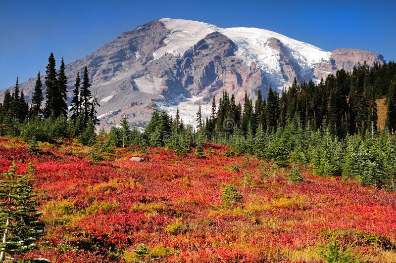 Mount Rainier fall colors stock image. Image of landscape - 11395799