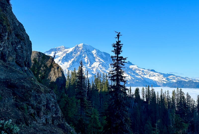 Mount Rainier from High Rock Lookout in Ashford, Washington Stock Image ...