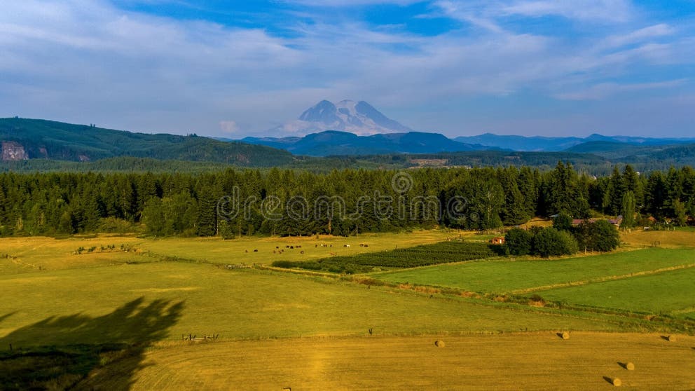 Mount Rainier on the Horizon in August Stock Image - Image of rainier ...