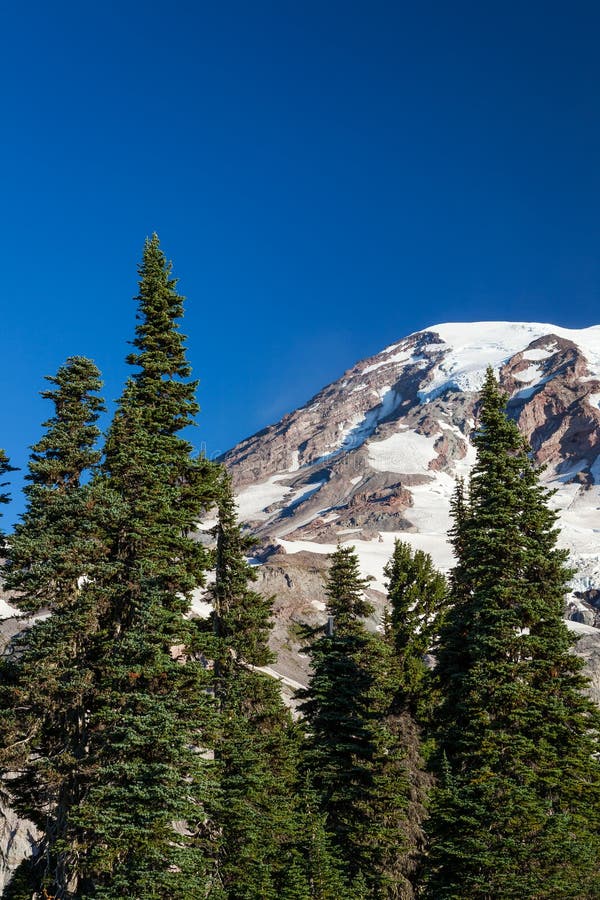 Spring Colors in Beautiful Mount Rainier Backdrop Stock Photo - Image ...