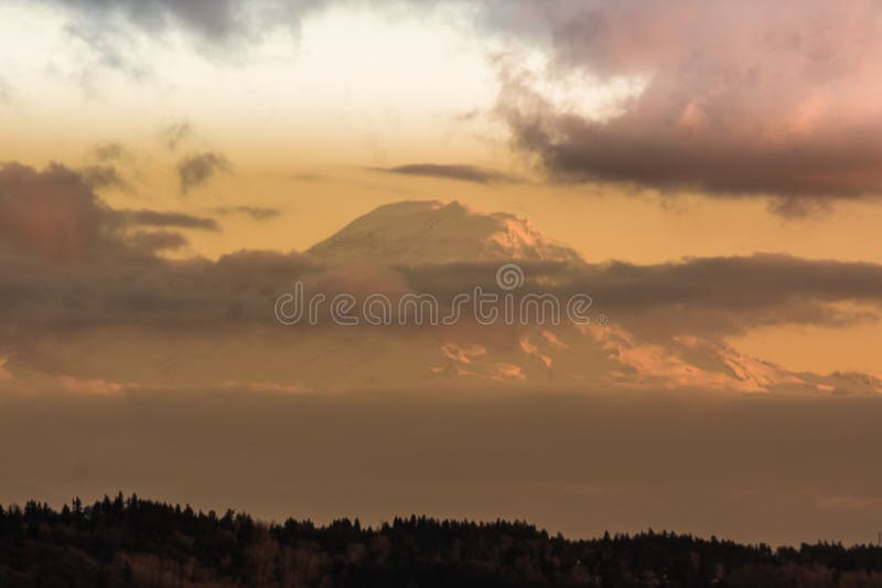 Mount Rainier Pink Sunset from Kent Stock Image - Image of summit ...