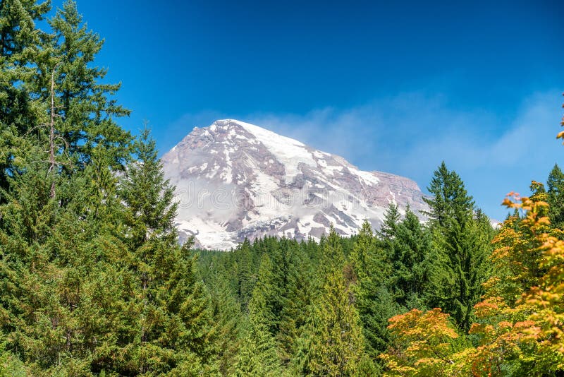 Mount Rainier Surrounded by Trees, WA Stock Image - Image of glacier ...