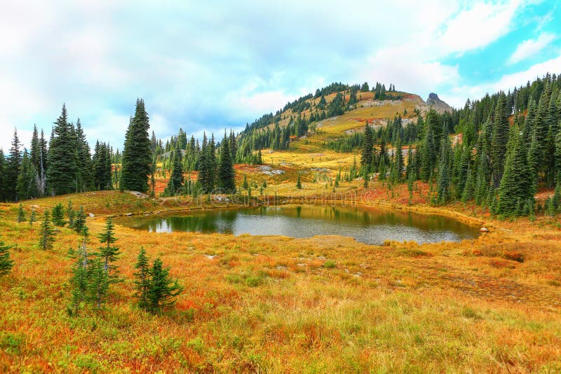 Mount Rainier, Washington, Paradise Trail Stock Photo - Image of hiking ...