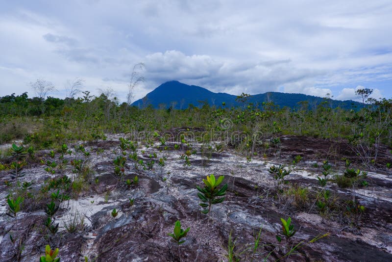 Mount Ranai Landscape on Natuna Island Stock Photo - Image of island ...