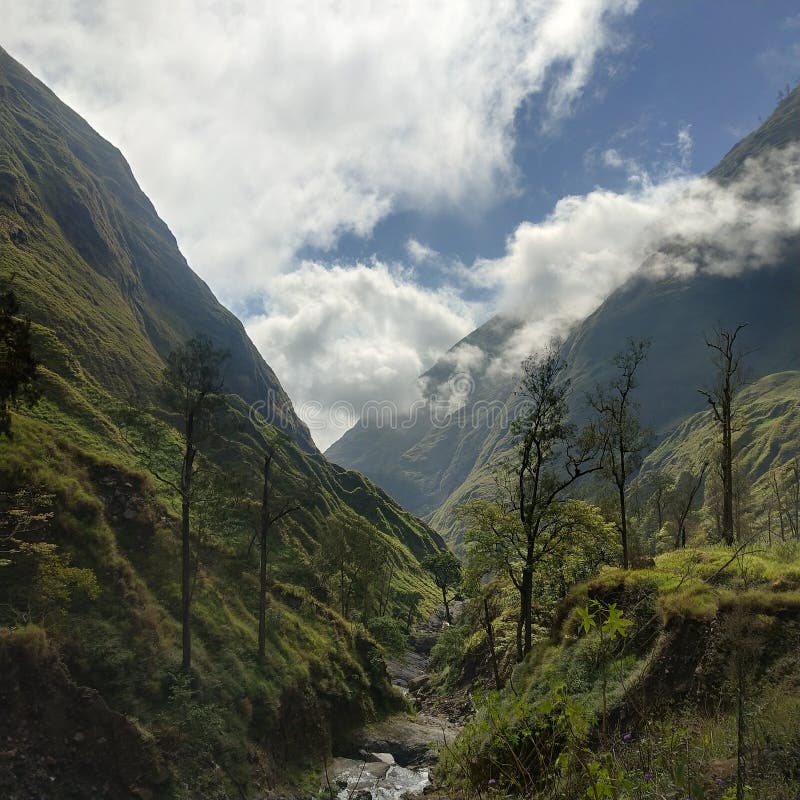 Mount Rinjani Torean route stock photo. Image of highland - 223793354