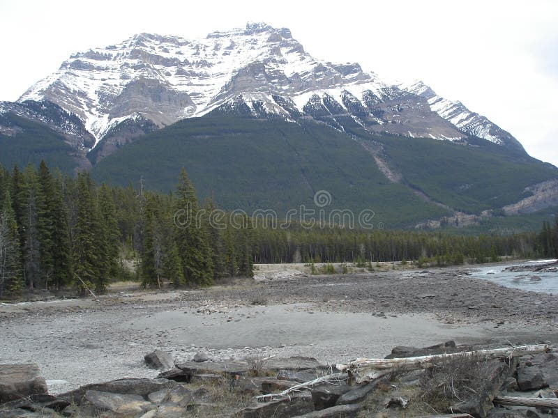 Mount Robson stock image. Image of spruce, gravel, snow - 13090525