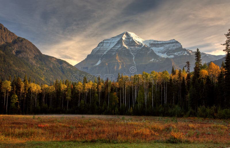 Mount Robson in autumn stock image. Image of range, pine - 14440257