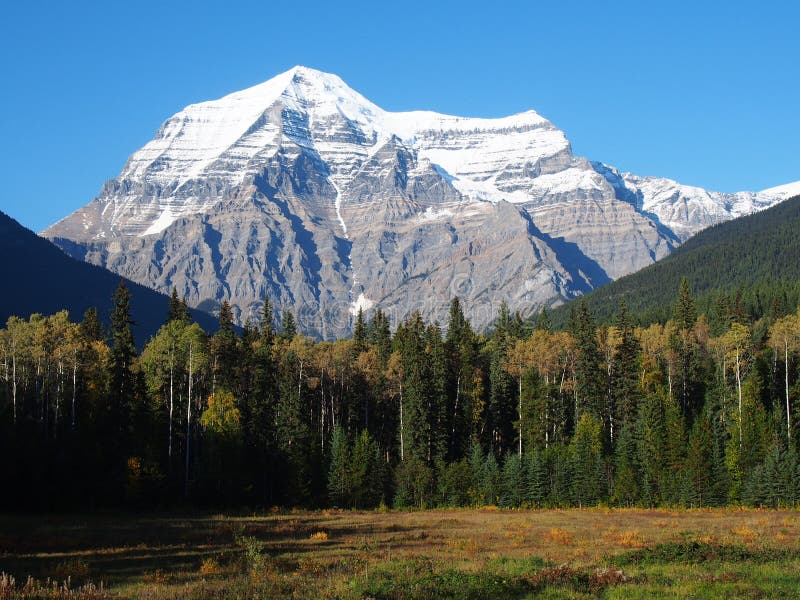 Mount Robson, Canada stock photo. Image of nature, park - 94299574