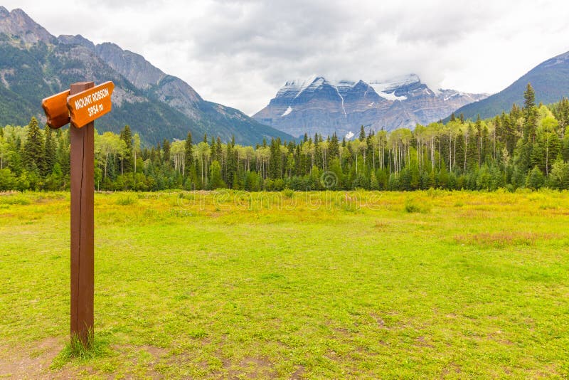 Mount Robson View in Summer Stock Photo - Image of park, outdoor: 103501208
