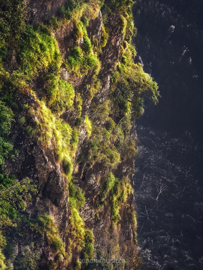 Mount of rock in mid java stock image. Image of branch - 269195241